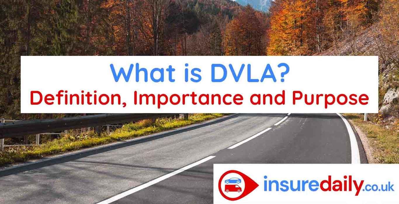 What is DVLA: Definition, Importance and Purpose