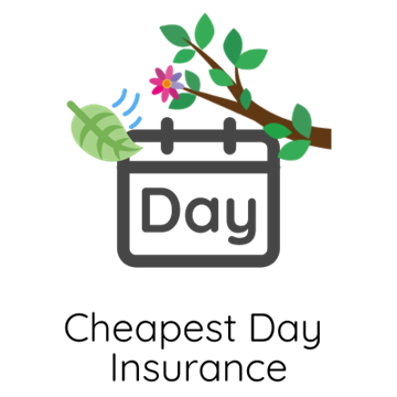 Day Insurance