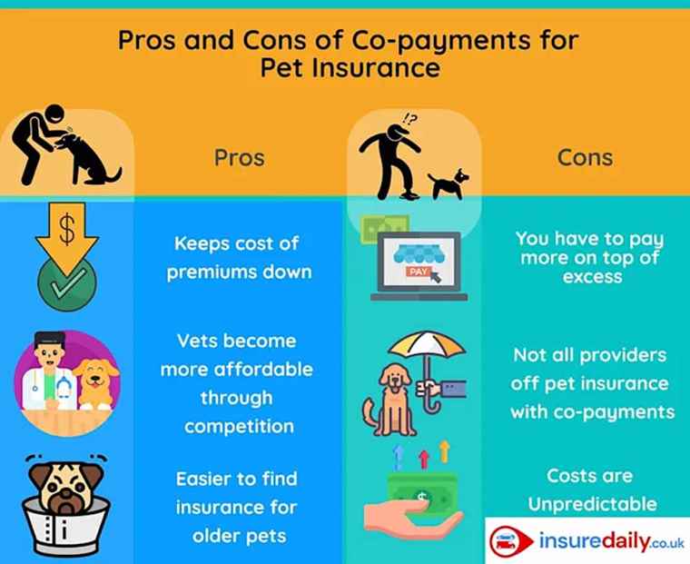 What is the Difference Between a Copay and Deductible?